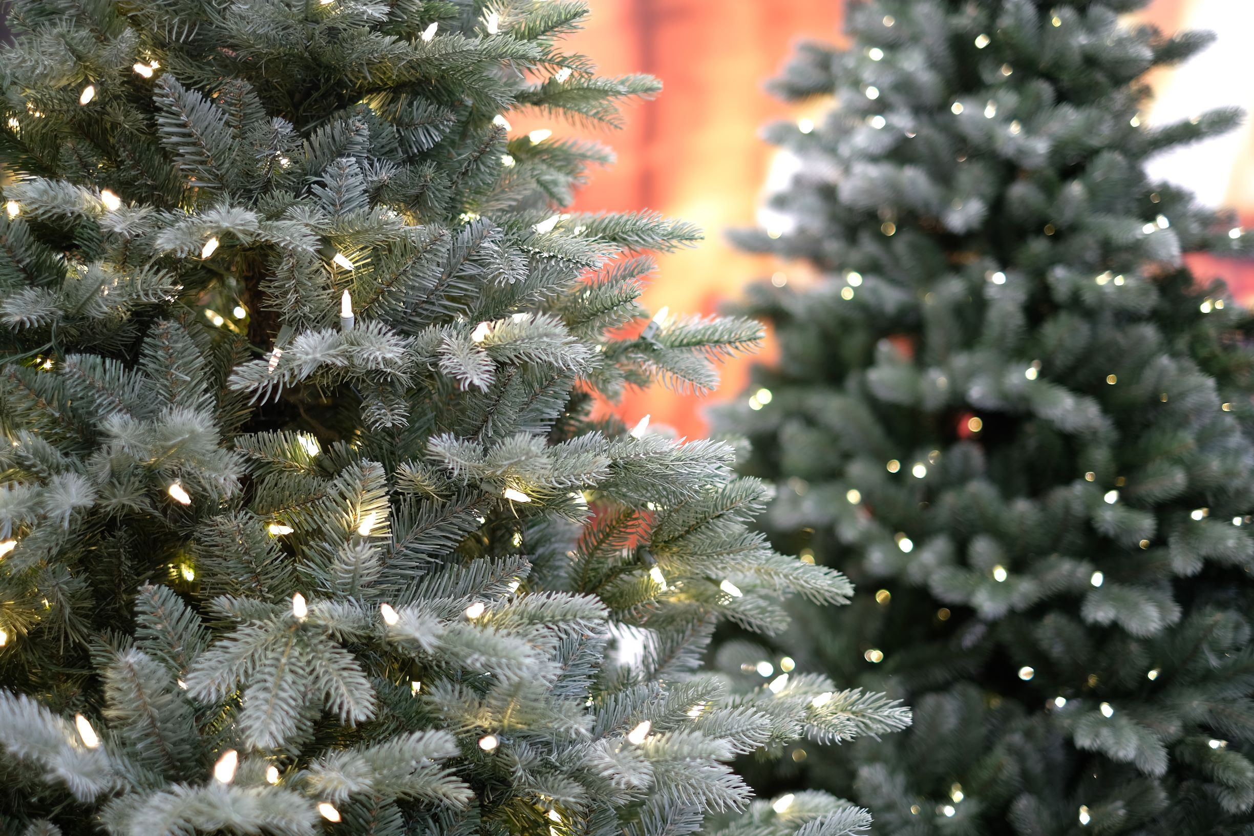 Our range - National Tree Company